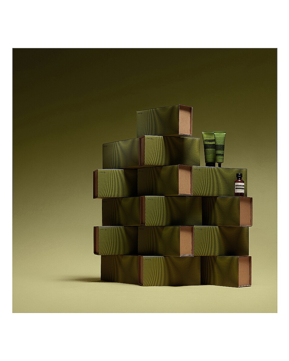 Aesop Rousing Rhythms | FWRD