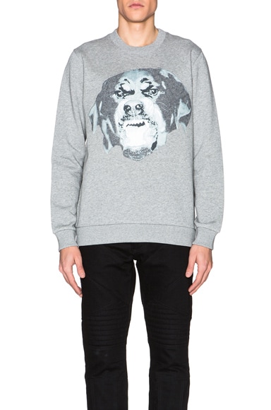 Givenchy Cuban Fit Rottweiler Sweatshirt in Pearl Grey | FWRD