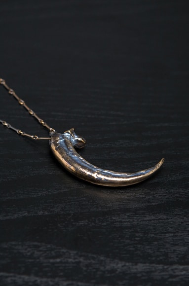 Pamela Love Large Eagle Claw Necklace In Black Bronze Fwrd