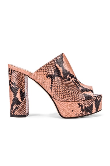 Paris Texas Python Print Platform Mule in Blush | FWRD