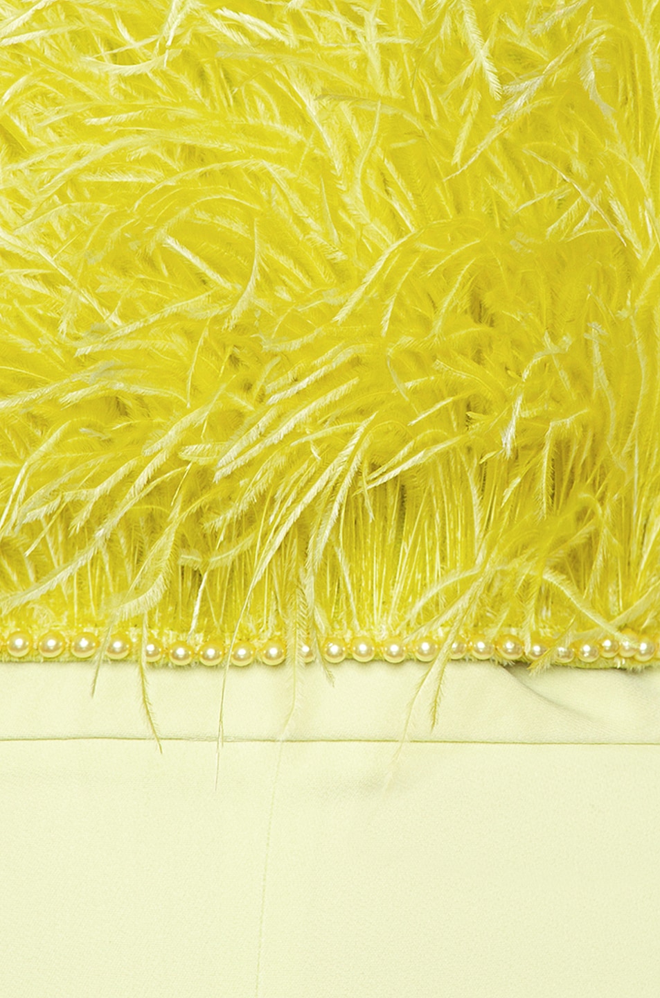 THE ATTICO Ostrich Feather Strapless Top in Lime | FWRD