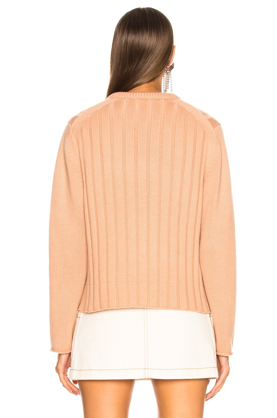 Chloe Iconic Cashmere Crewneck Sweater in Delicate Pink | FWRD