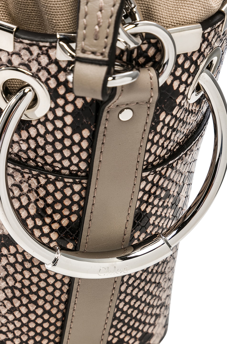 Chloe Mini Roy Python Print Leather Bucket Bag in Eternal Grey | FWRD