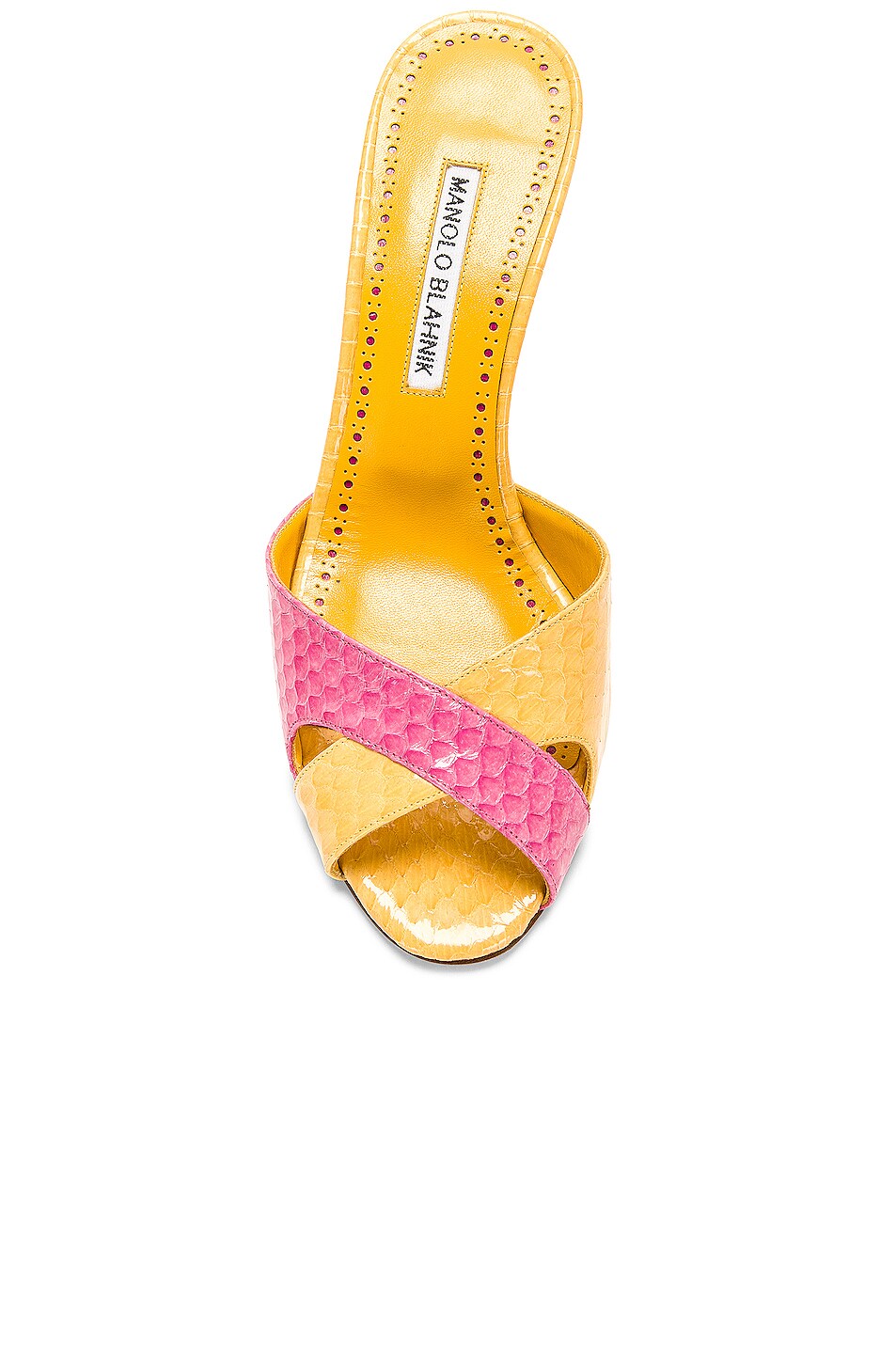 Manolo Blahnik Mumbimu 70 Snake Mule in Bright Pink & Bright Yellow | FWRD