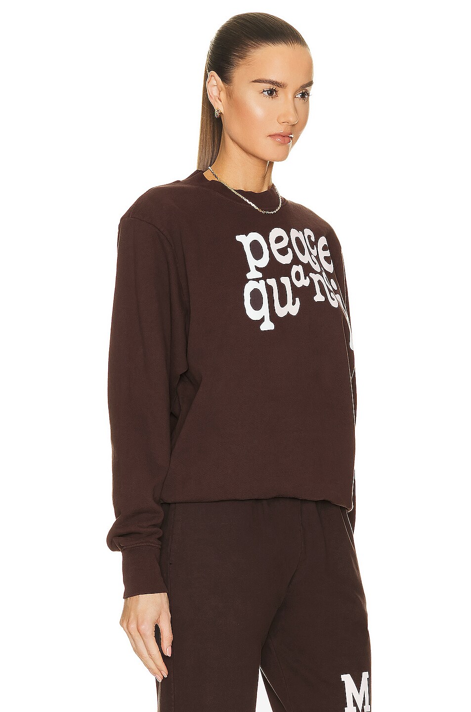 Museum of Peace and Quiet Etched Sweater in Brown | FWRD