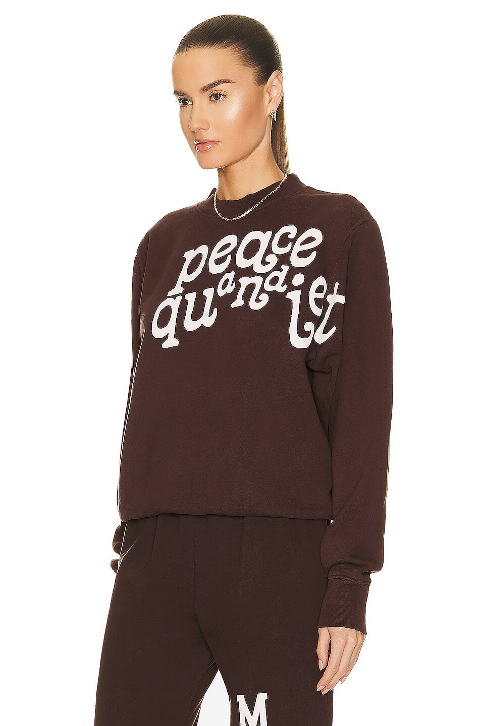 Museum of Peace and Quiet Etched Sweater in Brown | FWRD