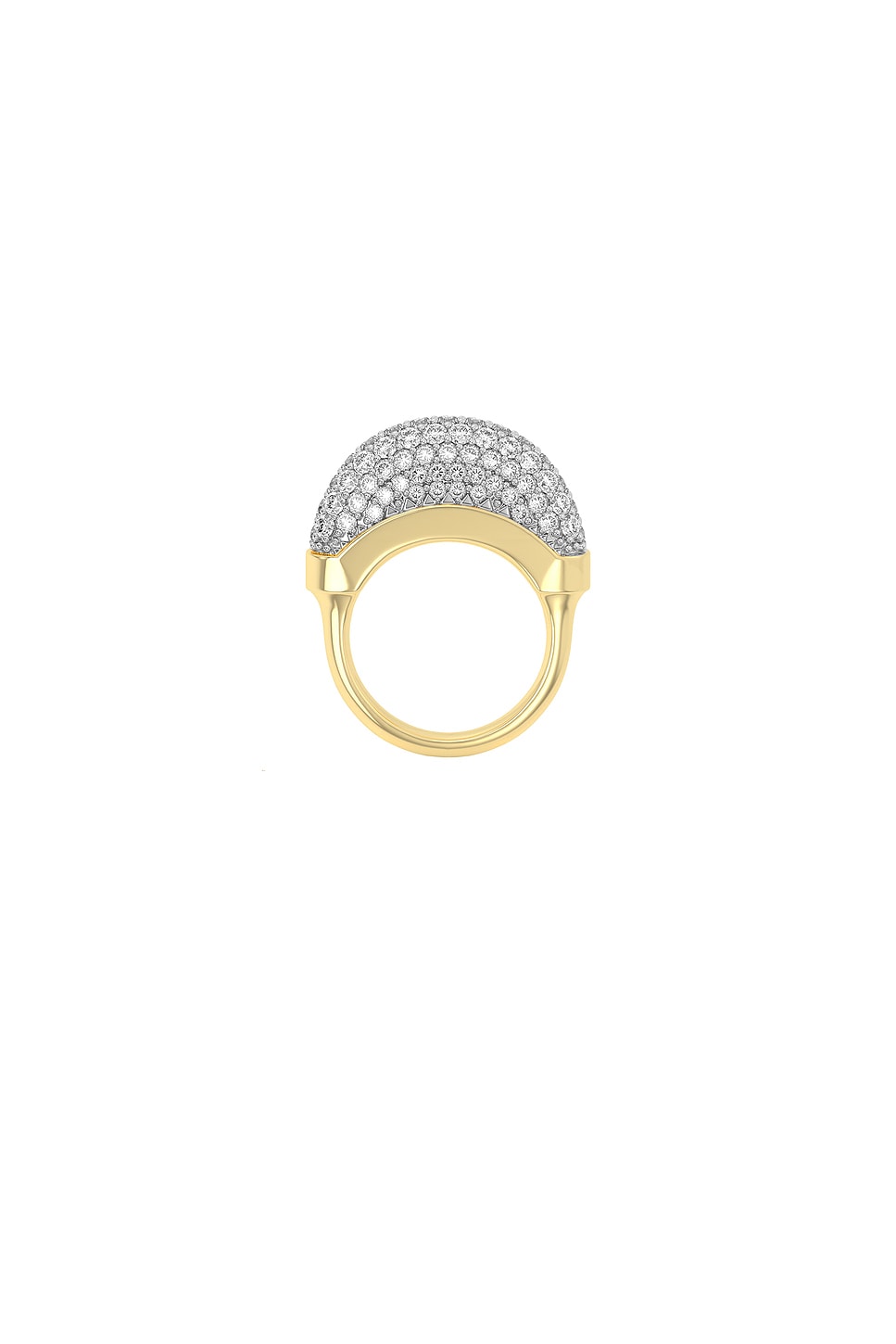 Preorder | Fall 2024 Collection | FWRD