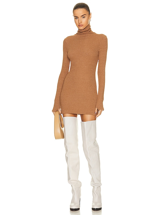 Turtleneck Sweater Mini Dress